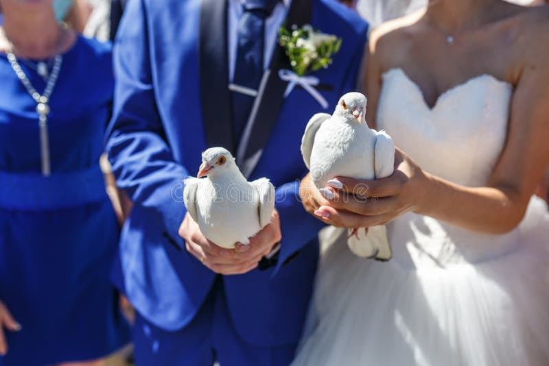 Wedding doves stock photo. Image of finally, hope, decoration - 2789414