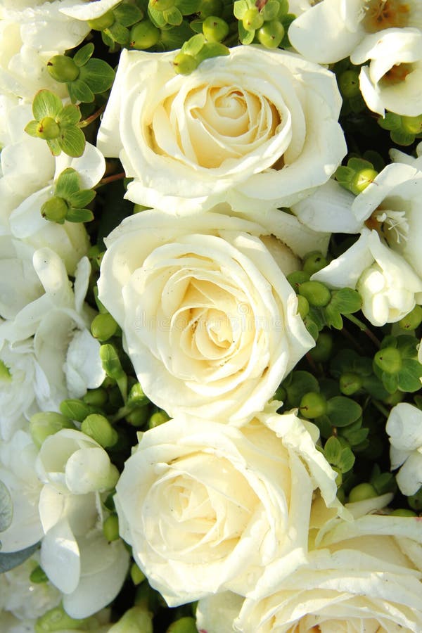 Group of White Roses, Wedding Decorations Stock Image - Image of ...