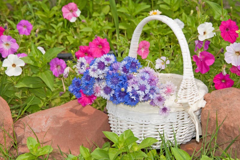 White Wicker Basket with Pink and White Flowers Stock Photo - Image of ...