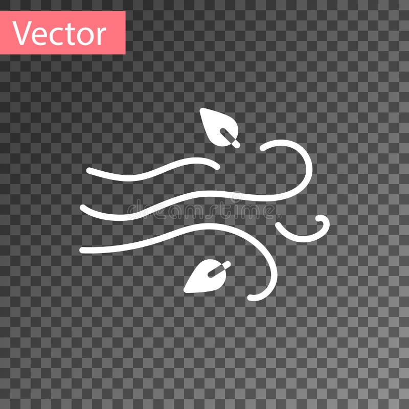 White Wind Icon Isolated on Transparent Background. Windy Weather Stock ...