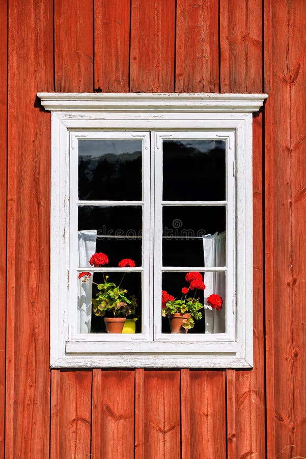 White Window with Red Flowers Stock Image - Image of detail, flora ...