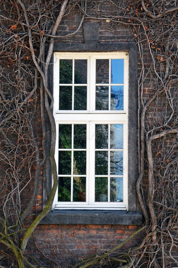 Ellipse window stock photo. Image of roots, round, wall - 111110