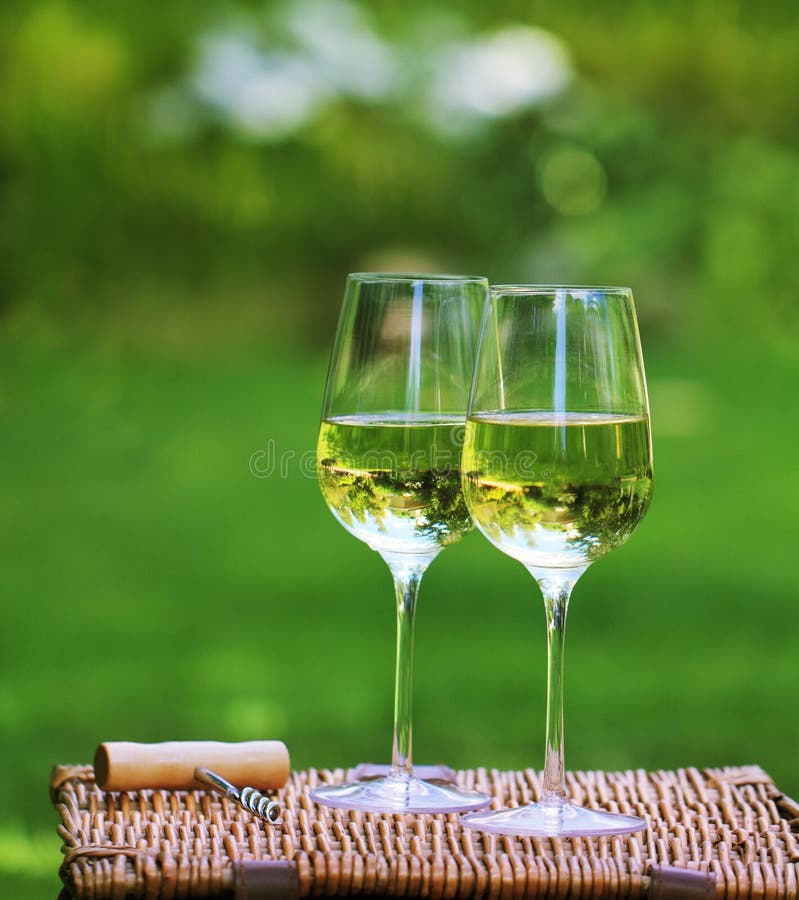 White wine stock photo. Image of white, wine, nature - 19829336