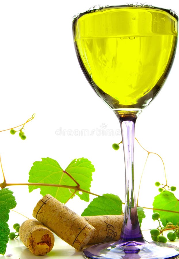 White wine stock photo. Image of horticulture, cork, growing - 3035772