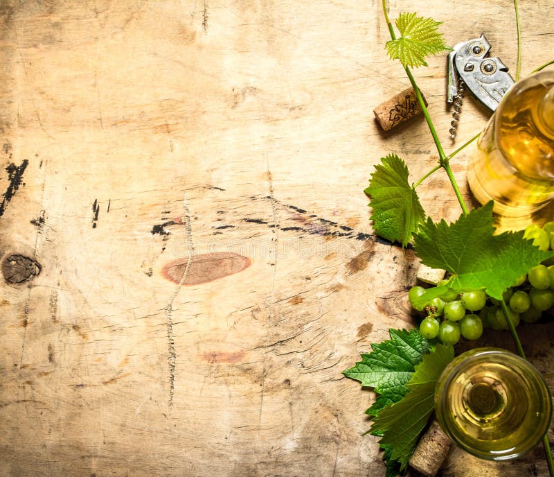 Wine and Vine stock image. Image of shaodow, green, grape - 2785049