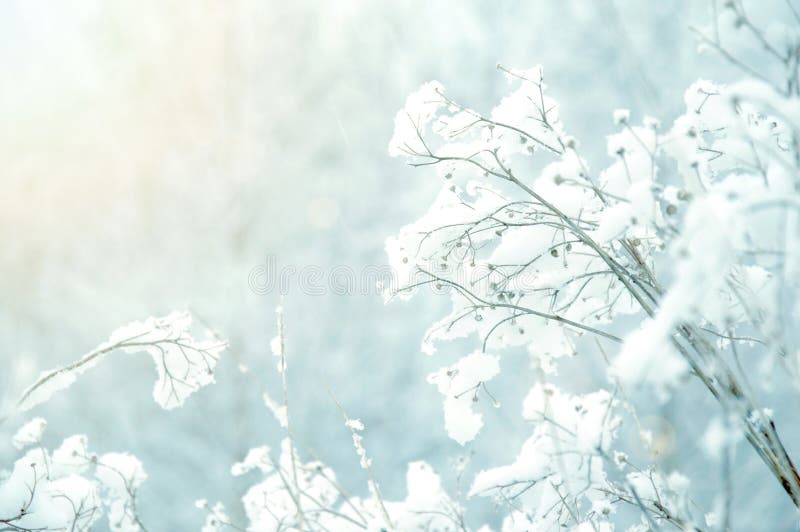 White winter background. stock image. Image of background - 49358285