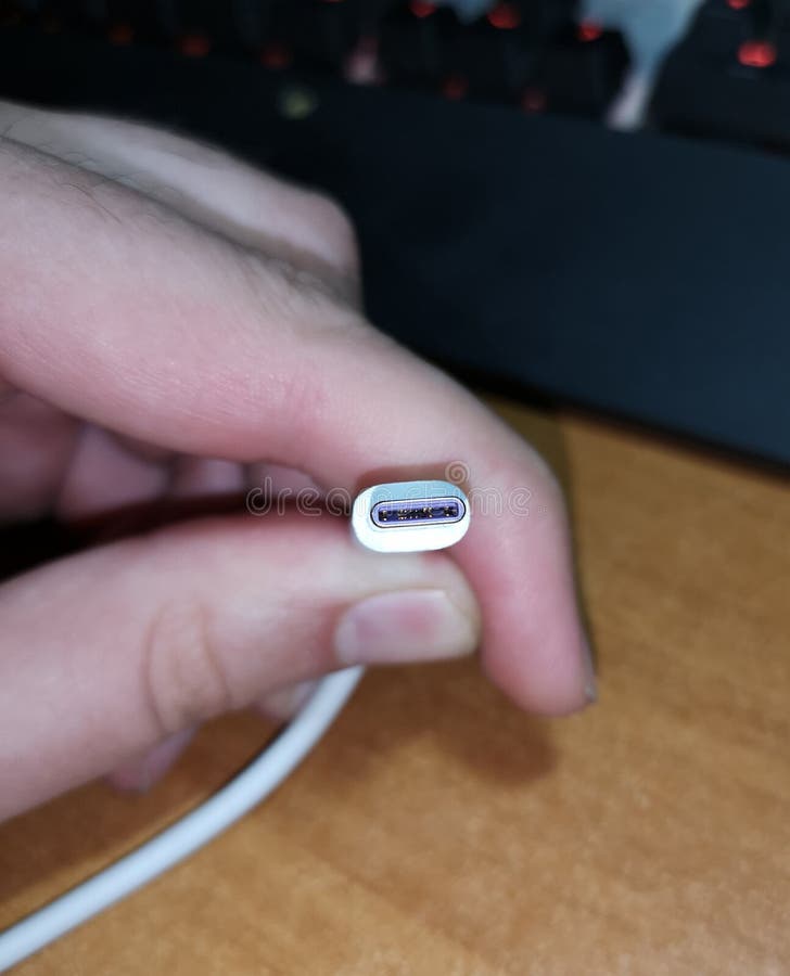 Type-C connector stock photo. Image of connector, keyboard - 124435450