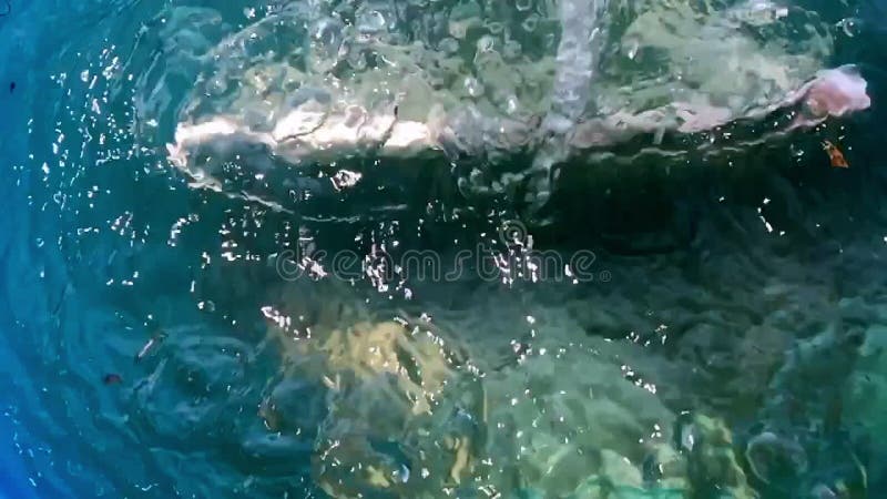 White Wireless Computer Keyboard Falling into the Water Spraying Stock ...