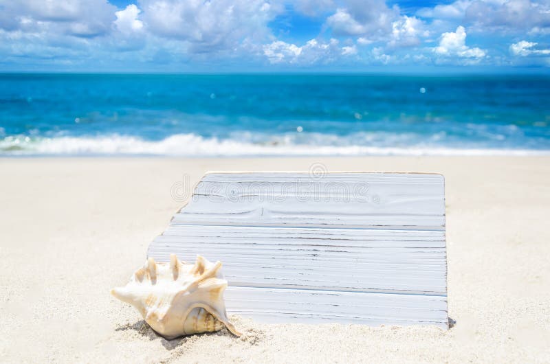 White Wood Board with Seashell on the Sandy Beach Stock Photo - Image ...