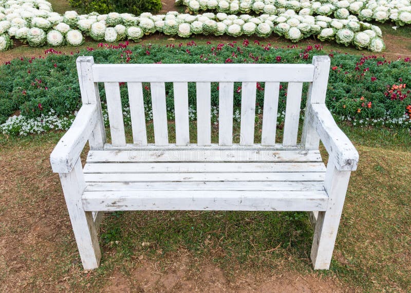 White wooden bench. stock photo. Image of wooden, garden - 77264018