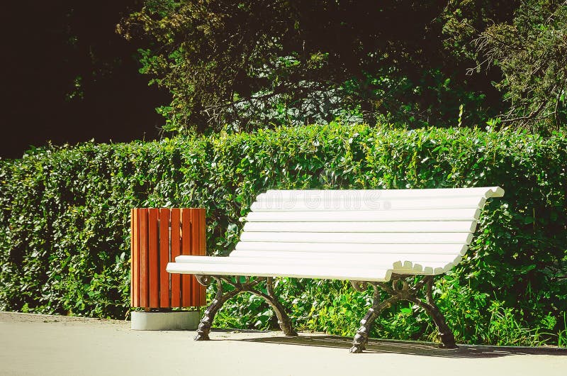 White Wooden Bench in the Park Stock Image - Image of close, scavenger ...