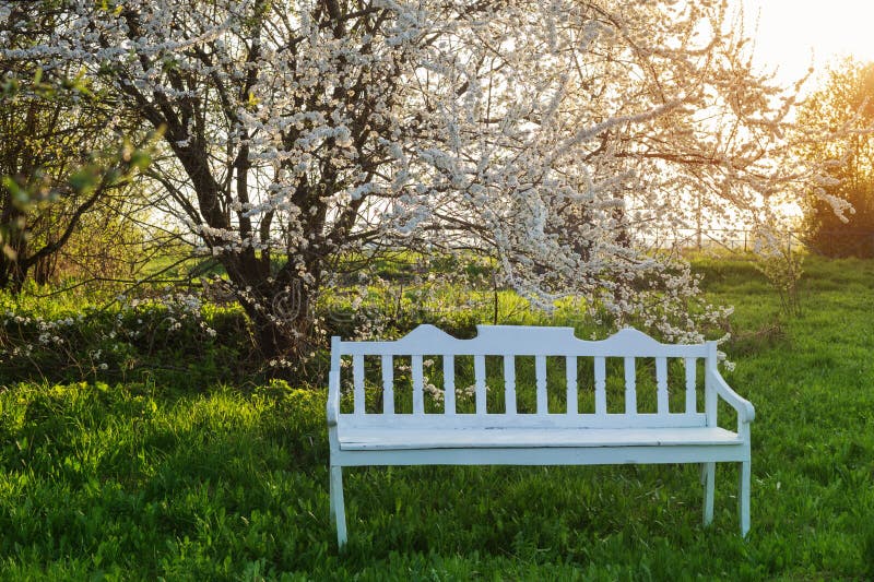 Garden bench stock photo. Image of grass, alley, lawn - 35123432