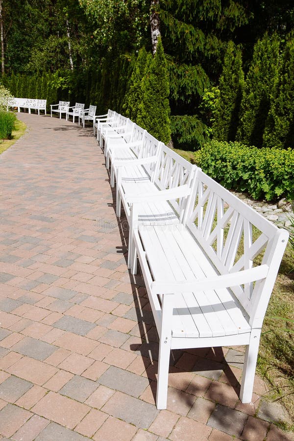 White Wooden Benches in the Park, Summer Day Stock Image - Image of ...