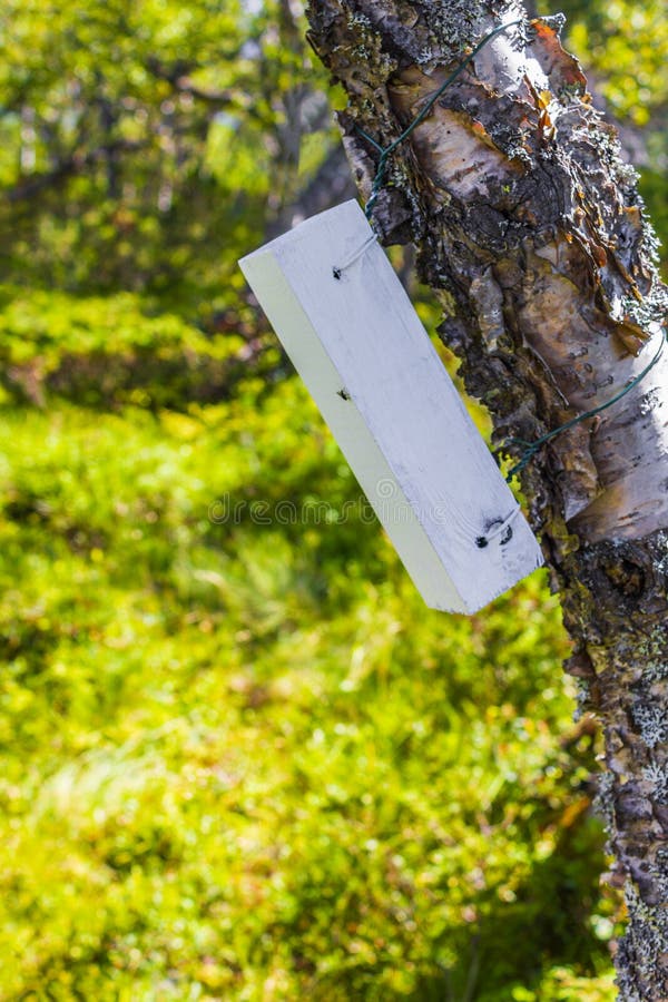 White Wooden Box on Tree in Vang Norway Stock Image - Image of ...
