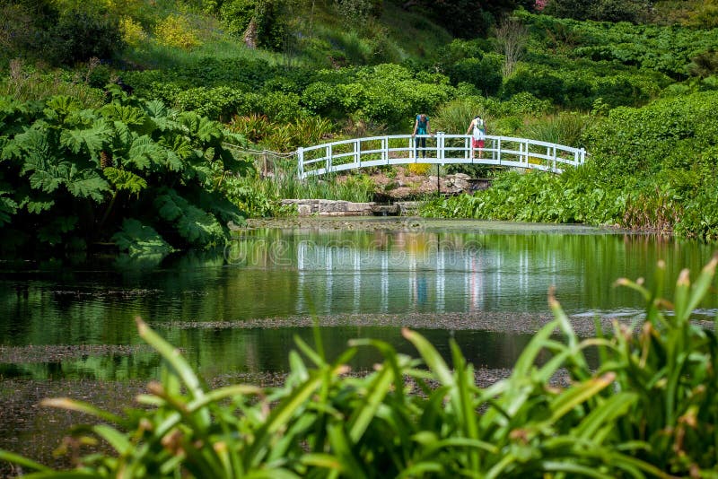 White Wooden Bridge Over Pond Stock Photo - Image of peaceful, plants ...