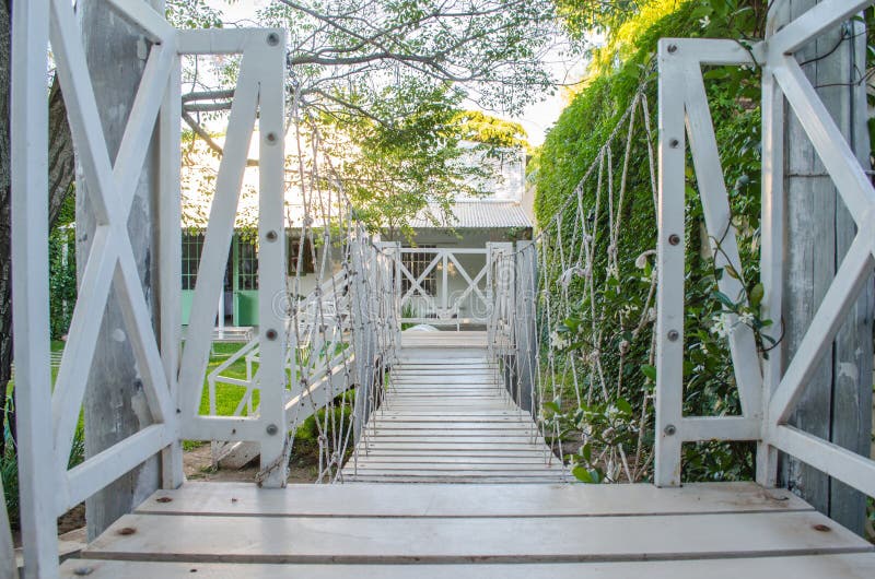 White and Wooden Bridge Path Perspective Stock Photo - Image of tree ...