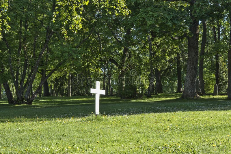 Wooden Cemetery Cross on White Background Stock Photo - Image of ...