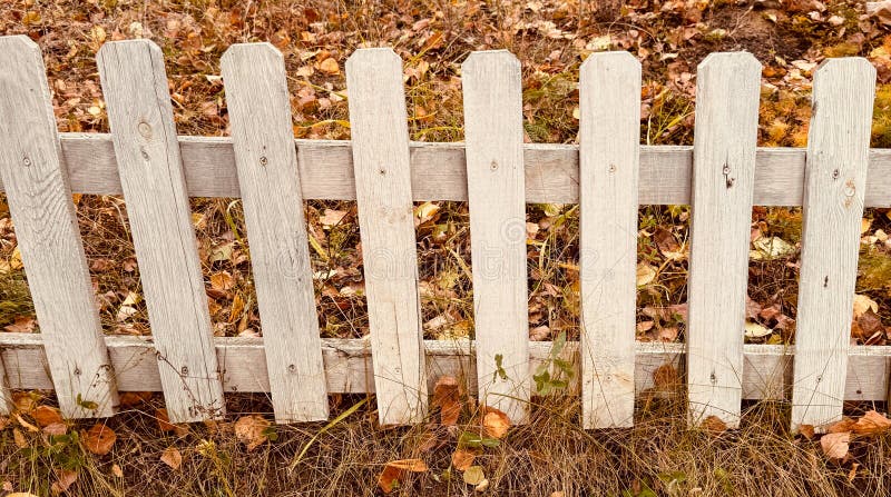 White Wooden Fence in Nature. Background Stock Photo - Image of design ...