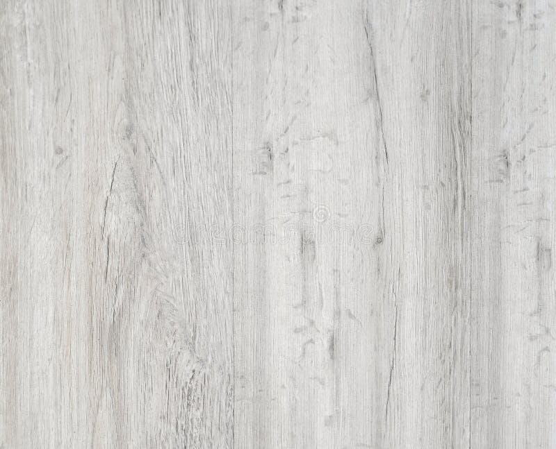 White Wooden Tree Texture Bleached Oak Stock Image - Image of board ...