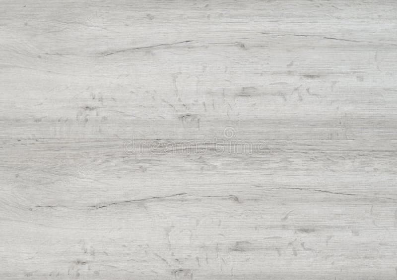 White Wooden Tree Texture Bleached Oak Stock Image - Image of light ...