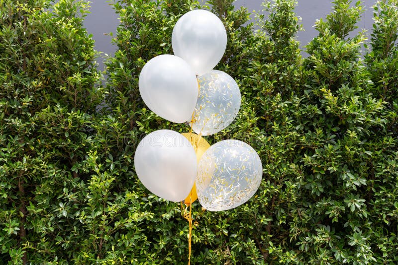 Balloons, sky and tree stock image. Image of reflection - 19721797