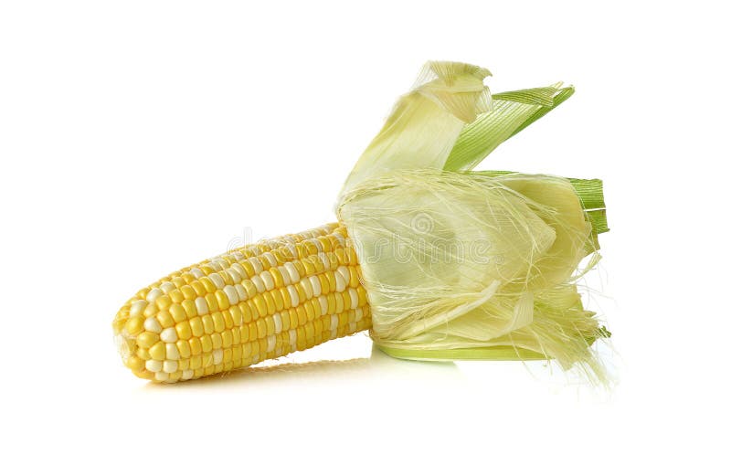 White and Yellow Corn with Shell on White Stock Photo - Image of food ...