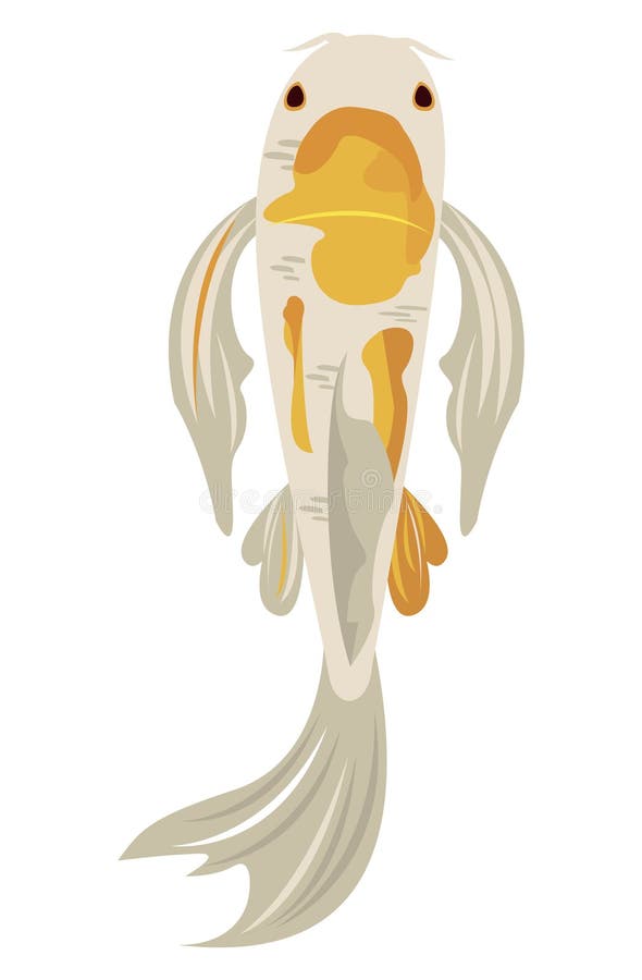 Yellow Koi Fish Stock Illustrations – 1,475 Yellow Koi Fish Stock ...