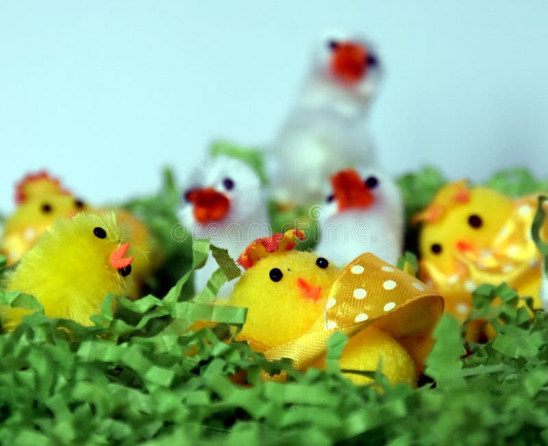 White and Yellow Plush Easter Chicken Figures in Green Nest. Stock ...