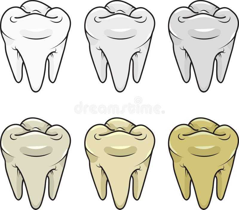 White and yellow teeth stock vector. Illustration of line - 85416914