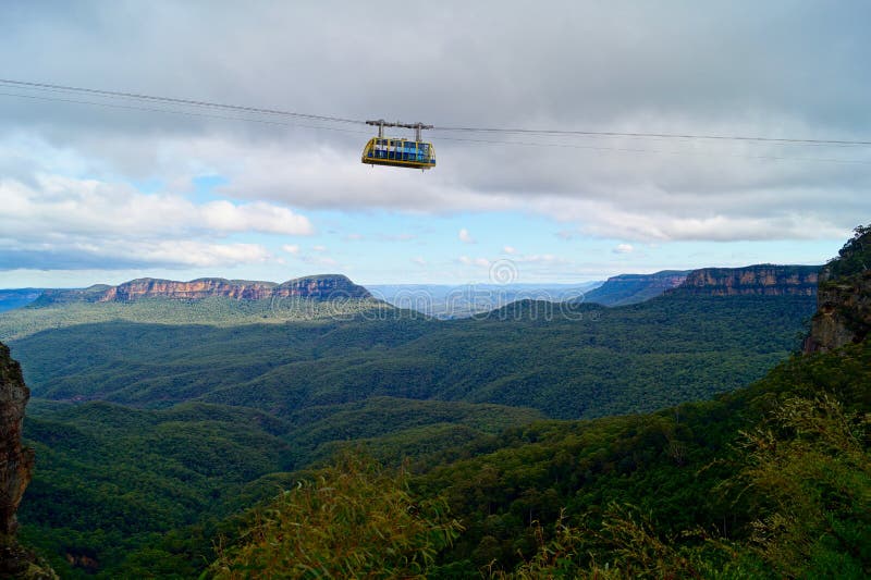 White Zip Line Bus Above On Green Leaved Trees Picture. Image: 83064691