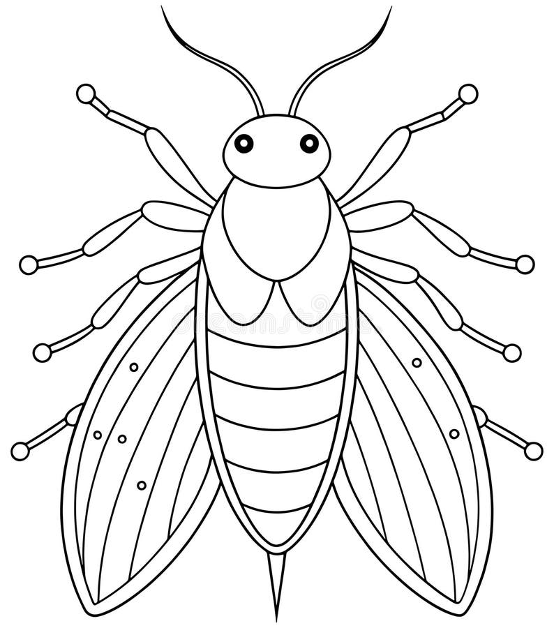 Whitefly Insect Drawing for Coloring Book Insect Learning Pages Stock ...