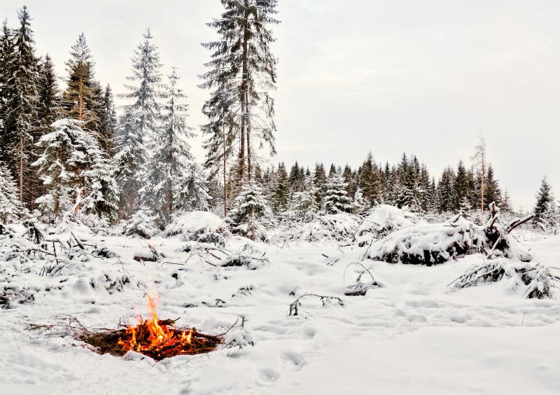 Whiteness and fire. Winter stock image. Image of close - 18449223