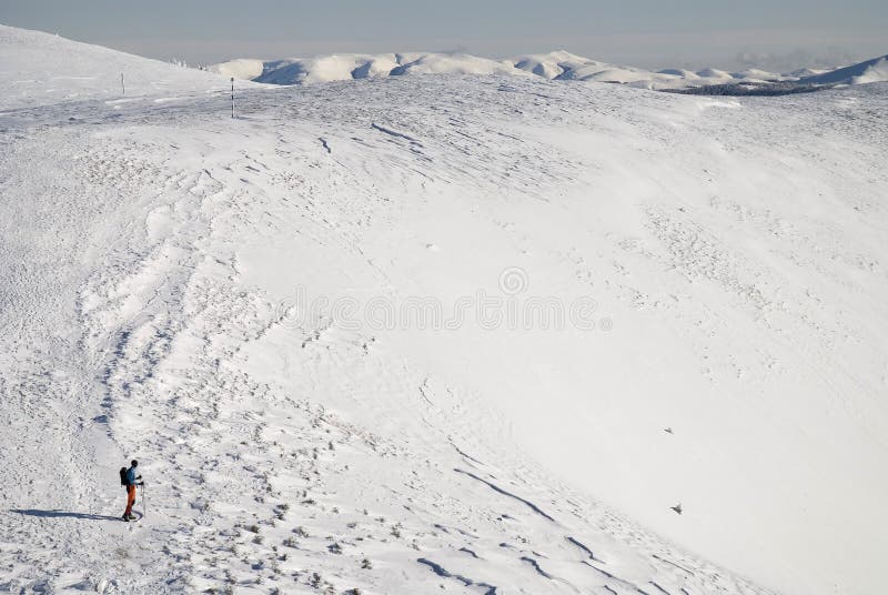 Whiteout stock photo. Image of frozen, path, freeze, person - 28037916