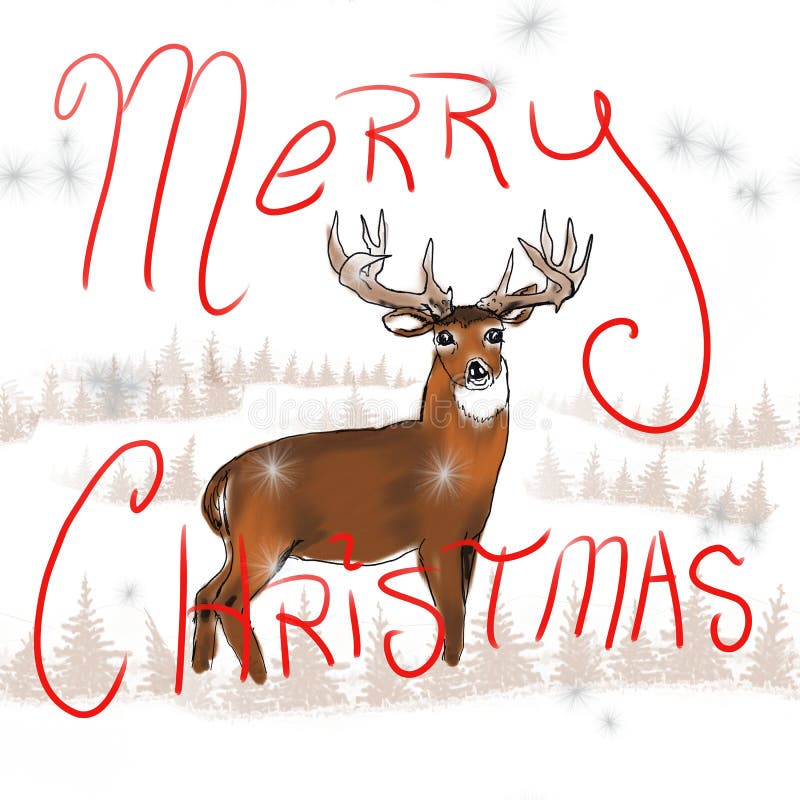 Big Buck or Whitetail Deer Standing in Forest of Oak and Birch Trees ...