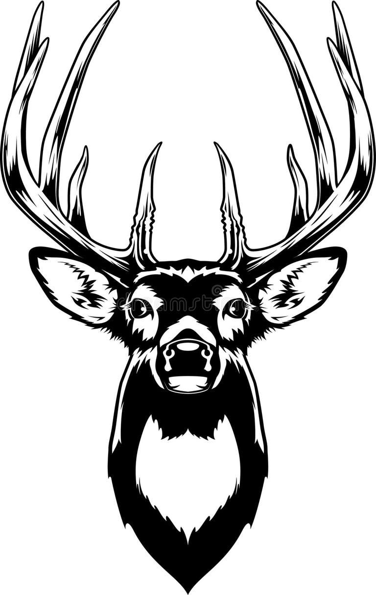 Whitetail Deer Stock Illustrations – 549 Whitetail Deer Stock ...