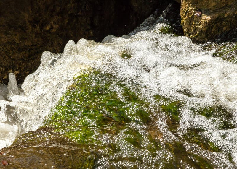 Whitewater Rapid on Fast Moving Stream with Rocks and Algae Stock Image ...