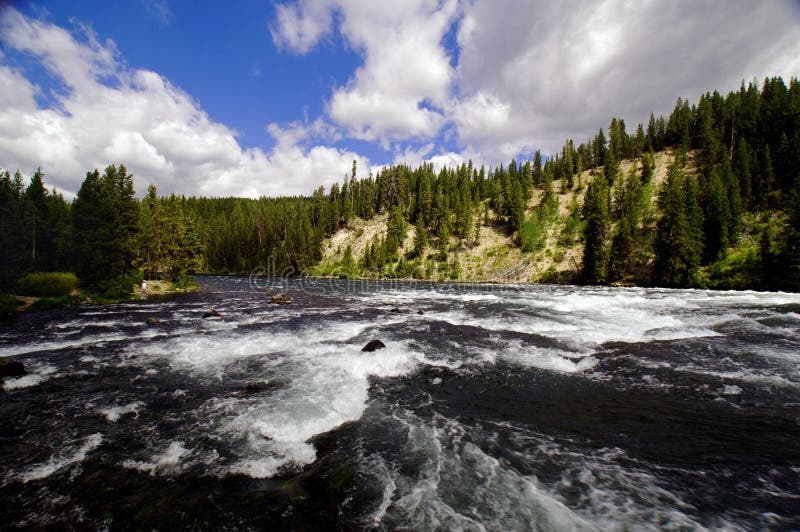 Rushing Stream River Water through Eleven Mile Canyon Colorado Stock ...