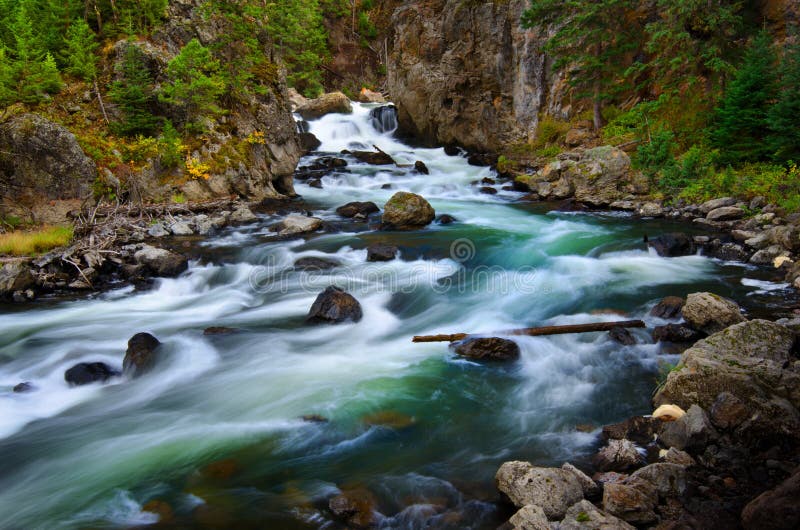 Whitewater River Flowing Past Rocks in Wilderness Stock Photo - Image ...