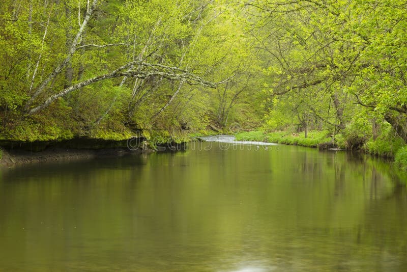 Whitewater River Spring stock image. Image of landscape - 19778851