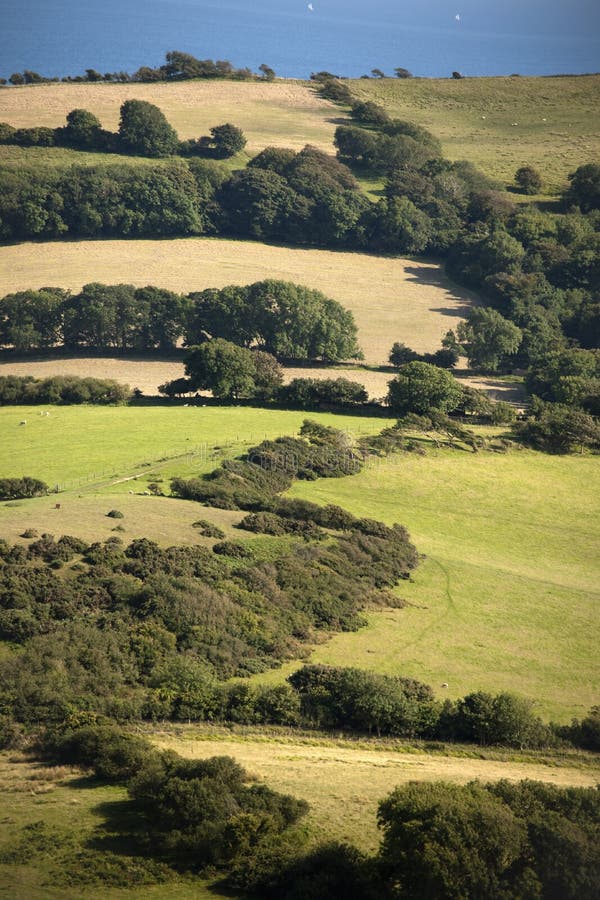 Whiteways hill stock photo. Image of coast, agriculture - 11101180