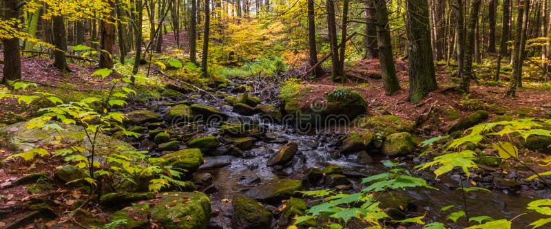Whiting River in the fall stock image. Image of green - 258504681