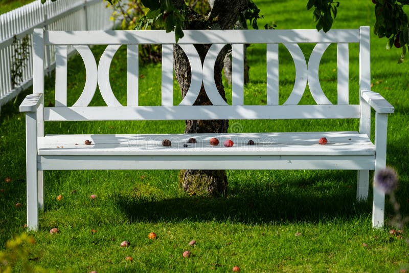 Whiyte Park Bench Under an Apple Tree in a Garden.. Stock Photo - Image ...