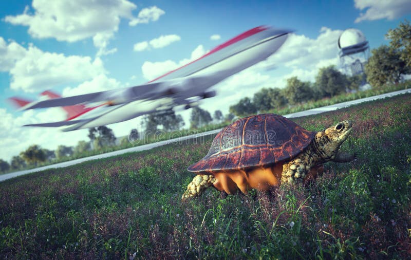 Who S Faster. Airplane and Running Turtle. Travel Concept Stock Photo ...