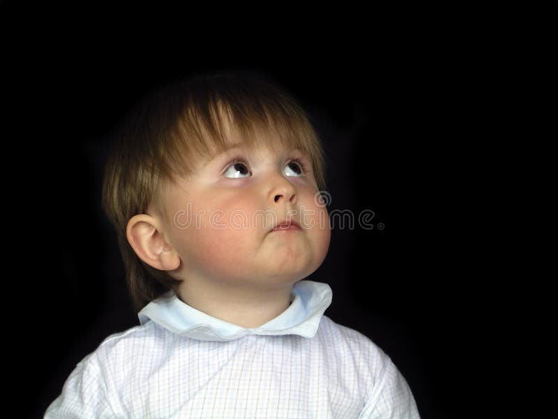 No Bull stock image. Image of cattle, animal, land, cowhide - 3284375