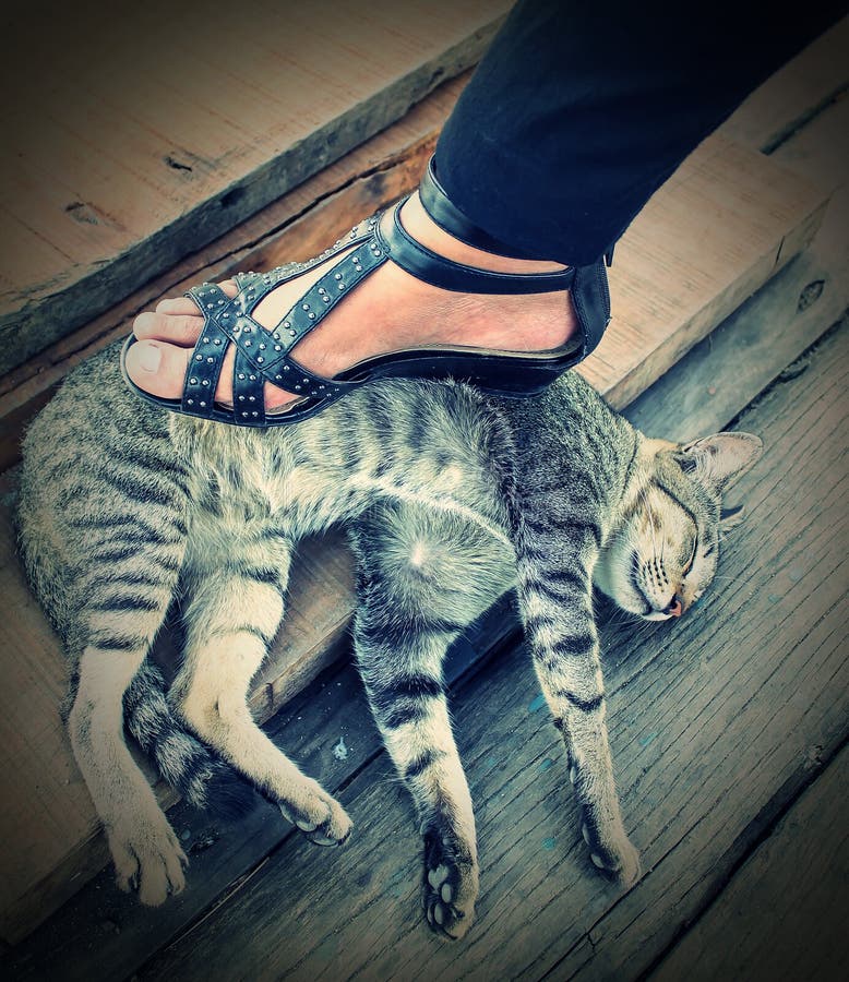 Who are stomp on me ? stock image. Image of difficulty - 38130093