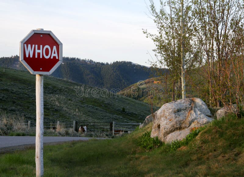 Whoa! Picture. Image: 5417035