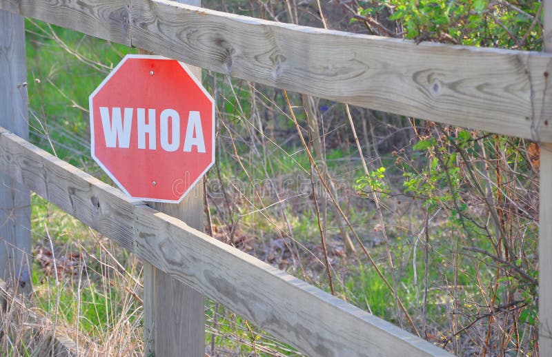 Whoa Stop Sign Stock Photos - Free & Royalty-Free Stock Photos from ...