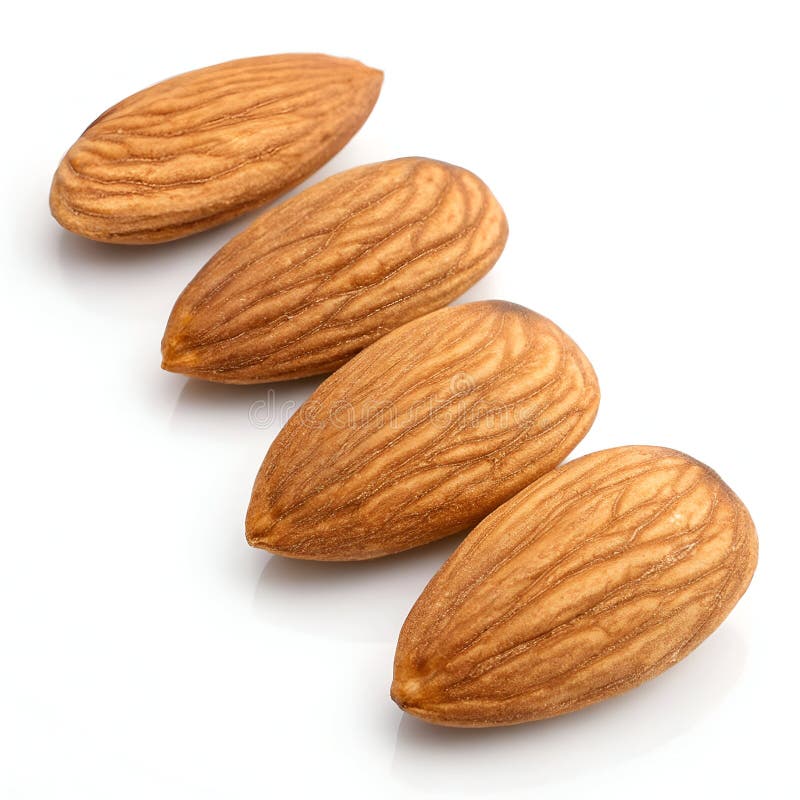 Whole Almonds Isolated on White Background Stock Illustration ...