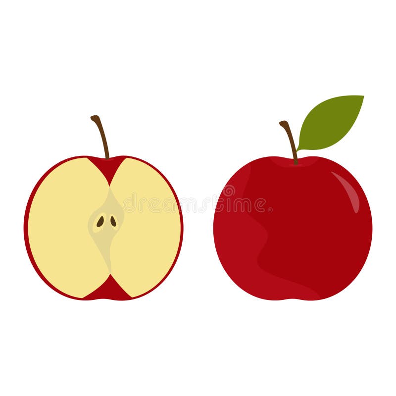 Whole Apple and Half Apple on White Background Stock Vector ...