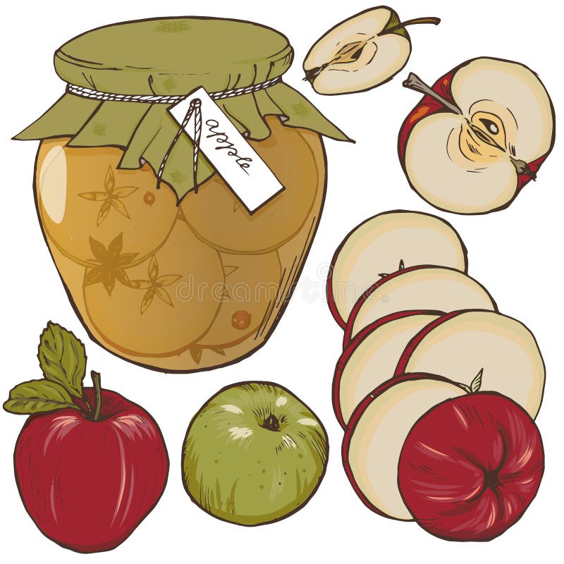Whole Apples, Cut into Halves and Slices Set Stock Vector ...